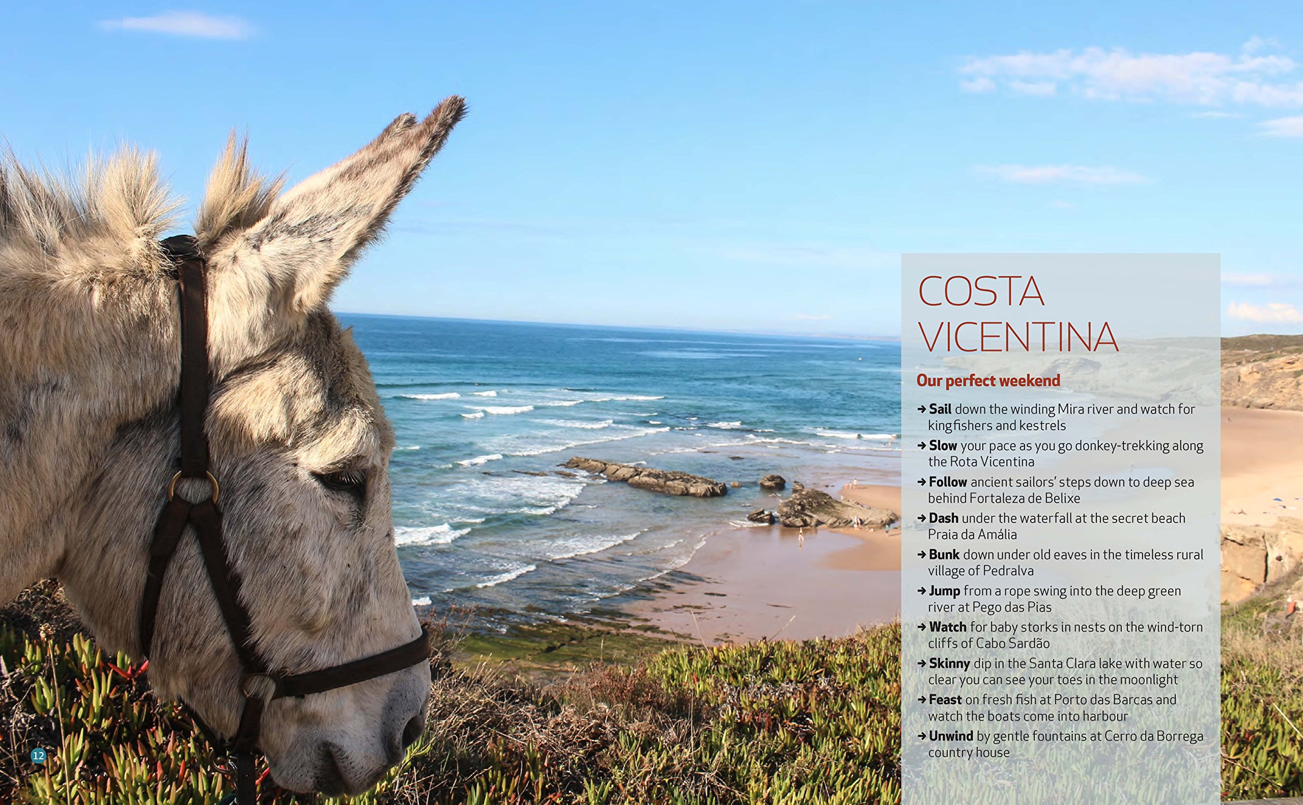 The Wild Guide Portugal - Edwina Pitcher