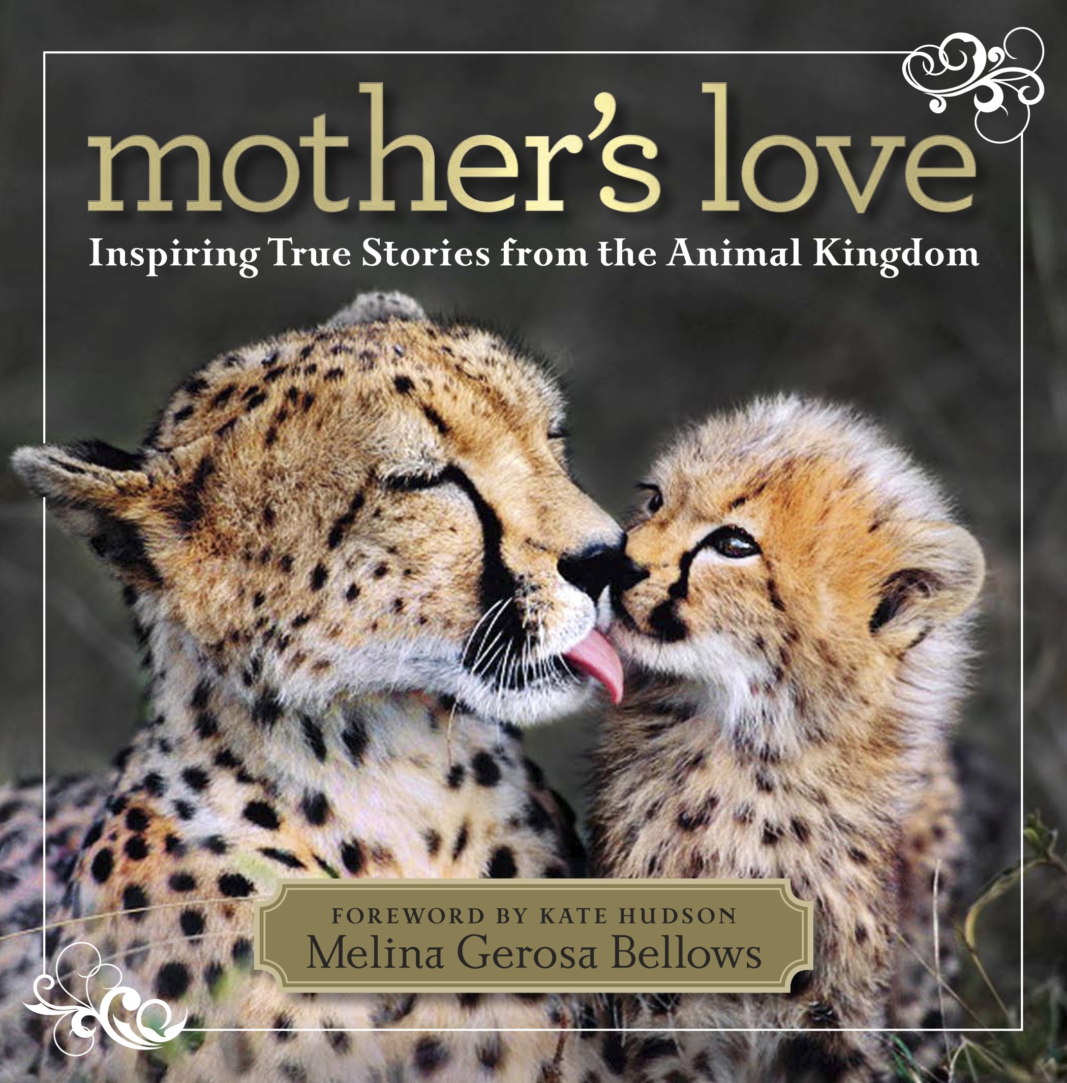 Mother's Love - Inspiring True Stories from the Animal Kingdom - Melina ...