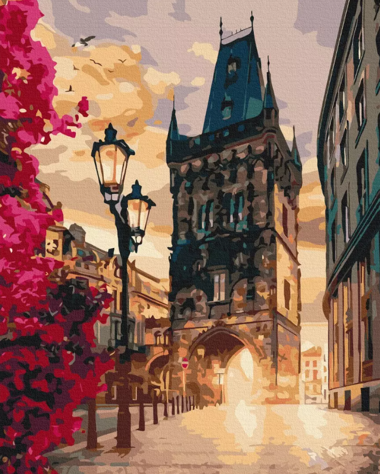 Set pictura pe numere - Prague - Brushme