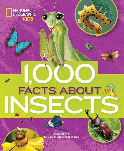 1000 Facts About Insects - National Geographic Kids, Nancy Honovich