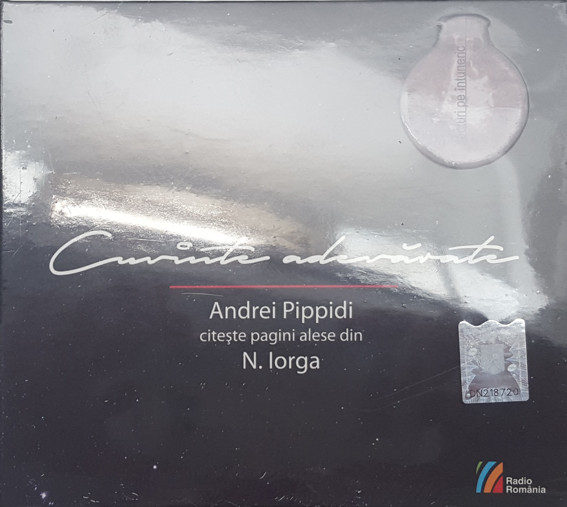 Nicolae Iorga - Pagini din sfaturi pe intuneric Audiobook - Nicolae Iorga