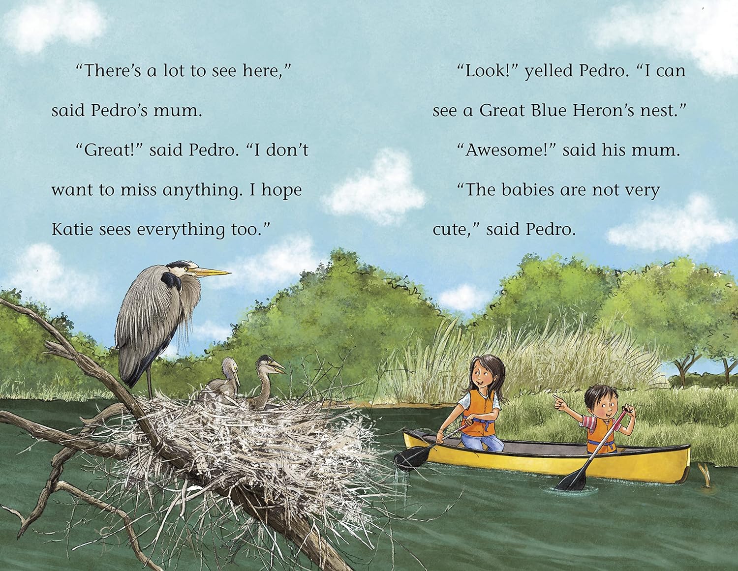 The Mystery of the Fishy Canoe - Fran Manushkin