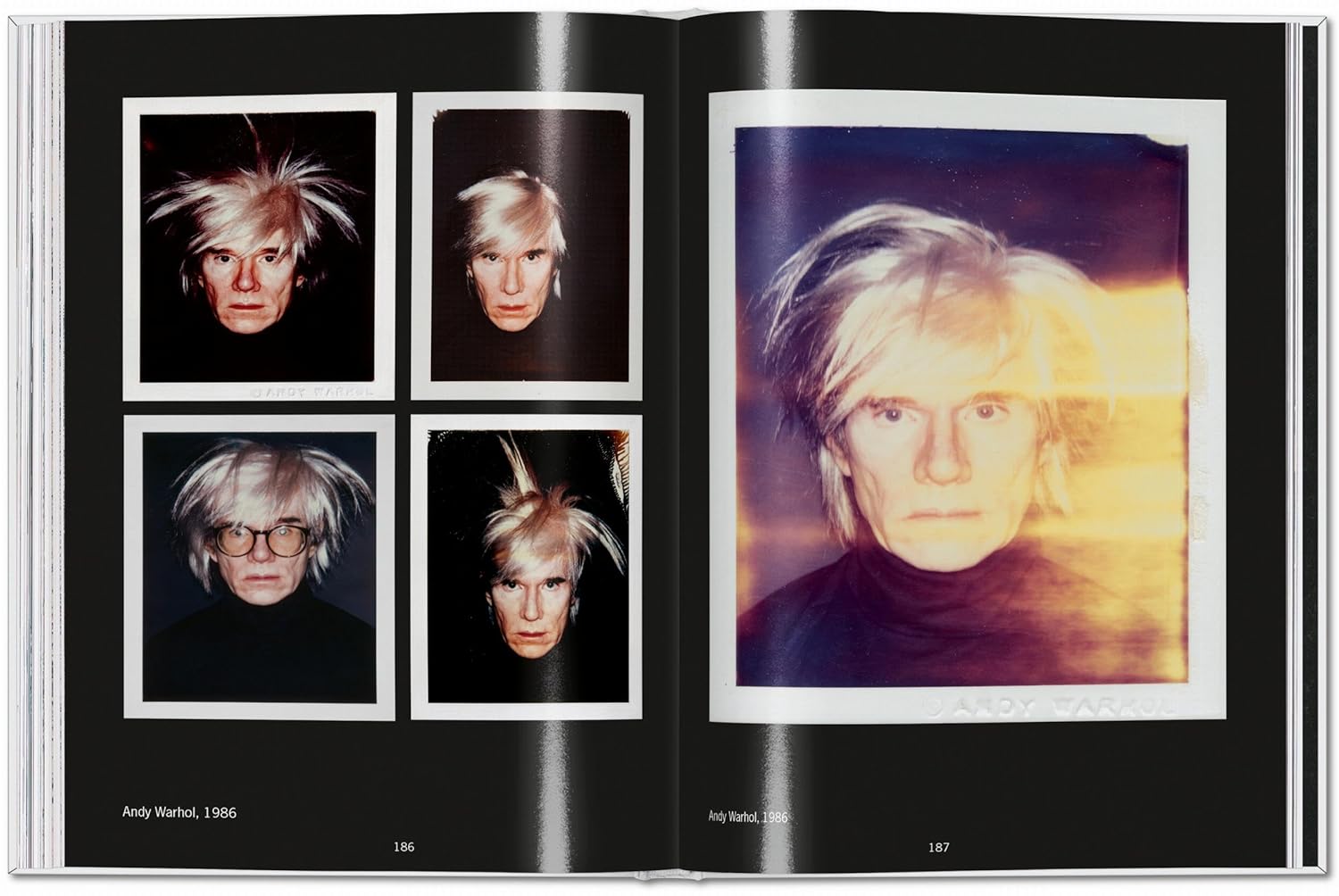 Andy Warhol. Polaroids 1958 - 1987 - Richard B. Woodward