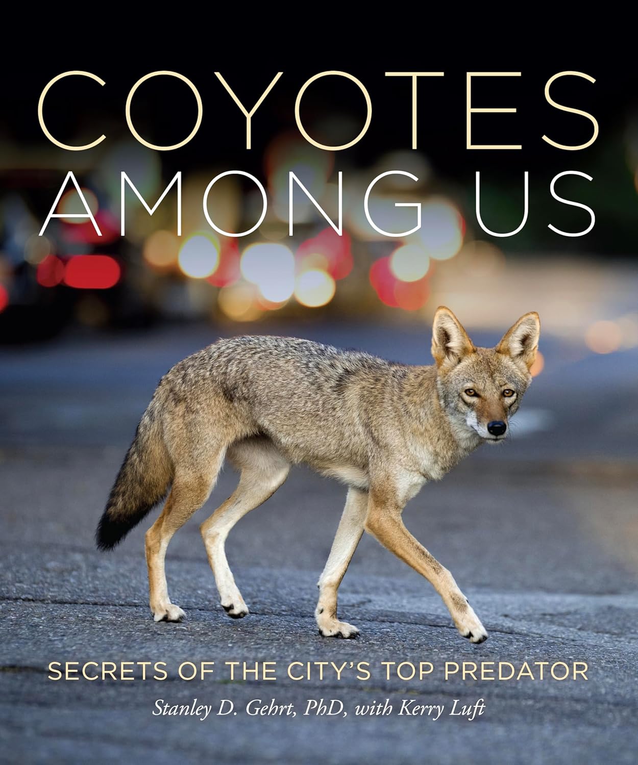 Coyotes Among Us - Stanley D. Gehrt, Kerry Luft