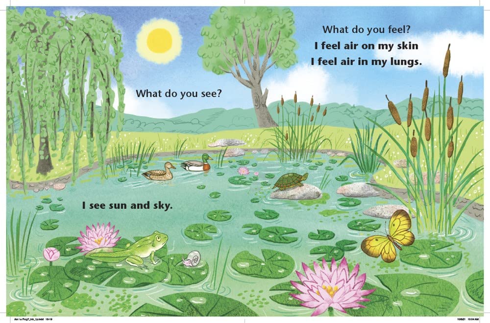 Am I a Frog? - Lizzy Rockwell