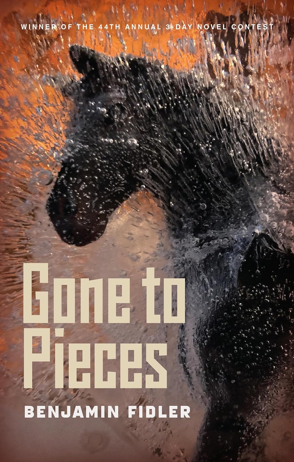 Gone to Pieces - Benjamin Fidler