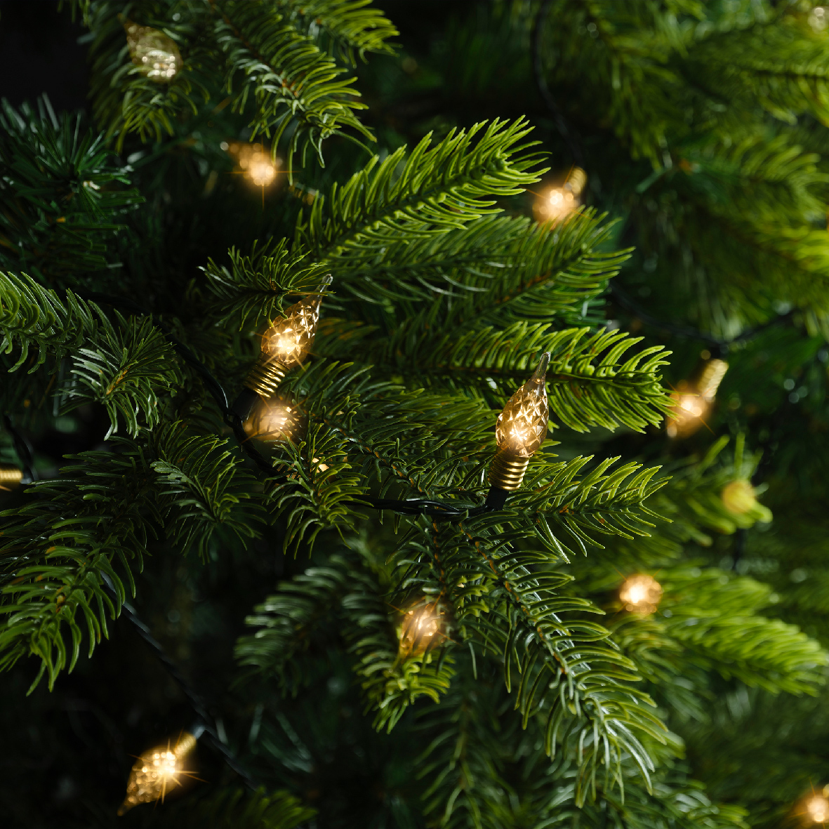 Luminite decorative - 240 LED Vintage Lights 8 Functions - Lumineo