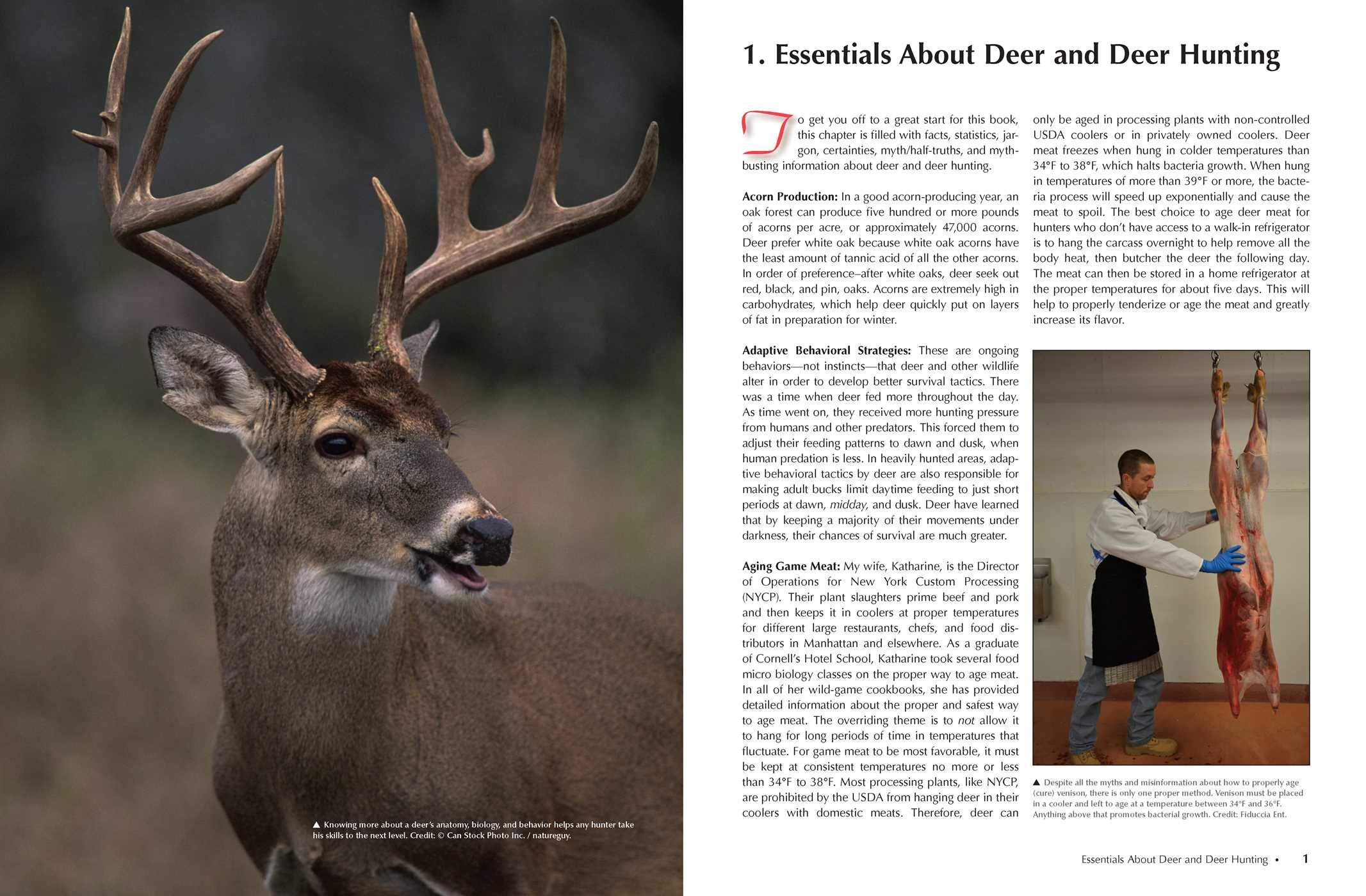 Shooter's Bible Guide to Deer Hunting - Peter J. Fiduccia