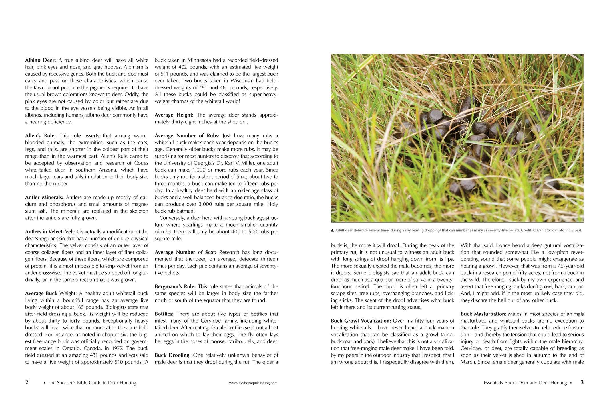 Shooter's Bible Guide to Deer Hunting - Peter J. Fiduccia