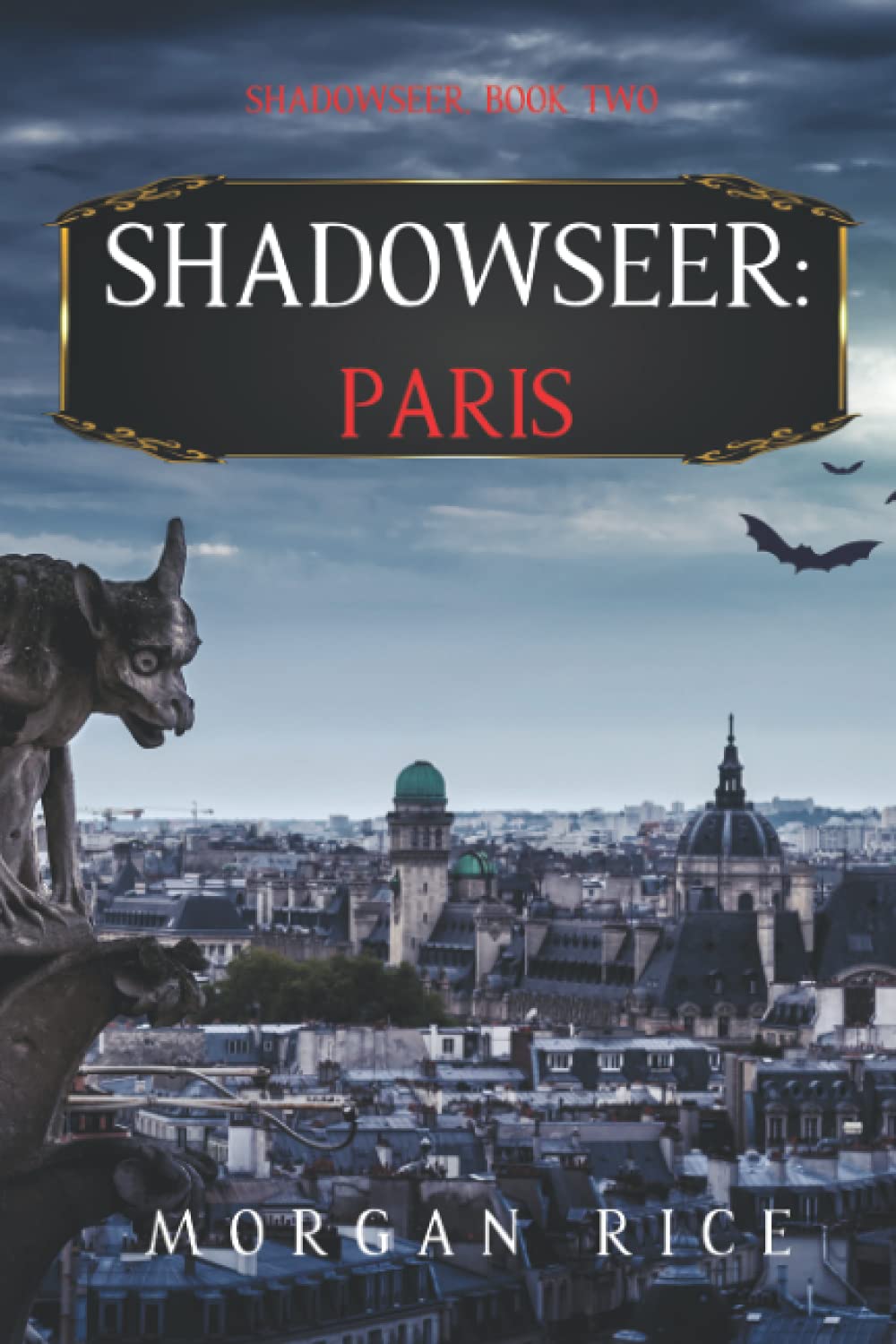 Shadowseer - Morgan Rice