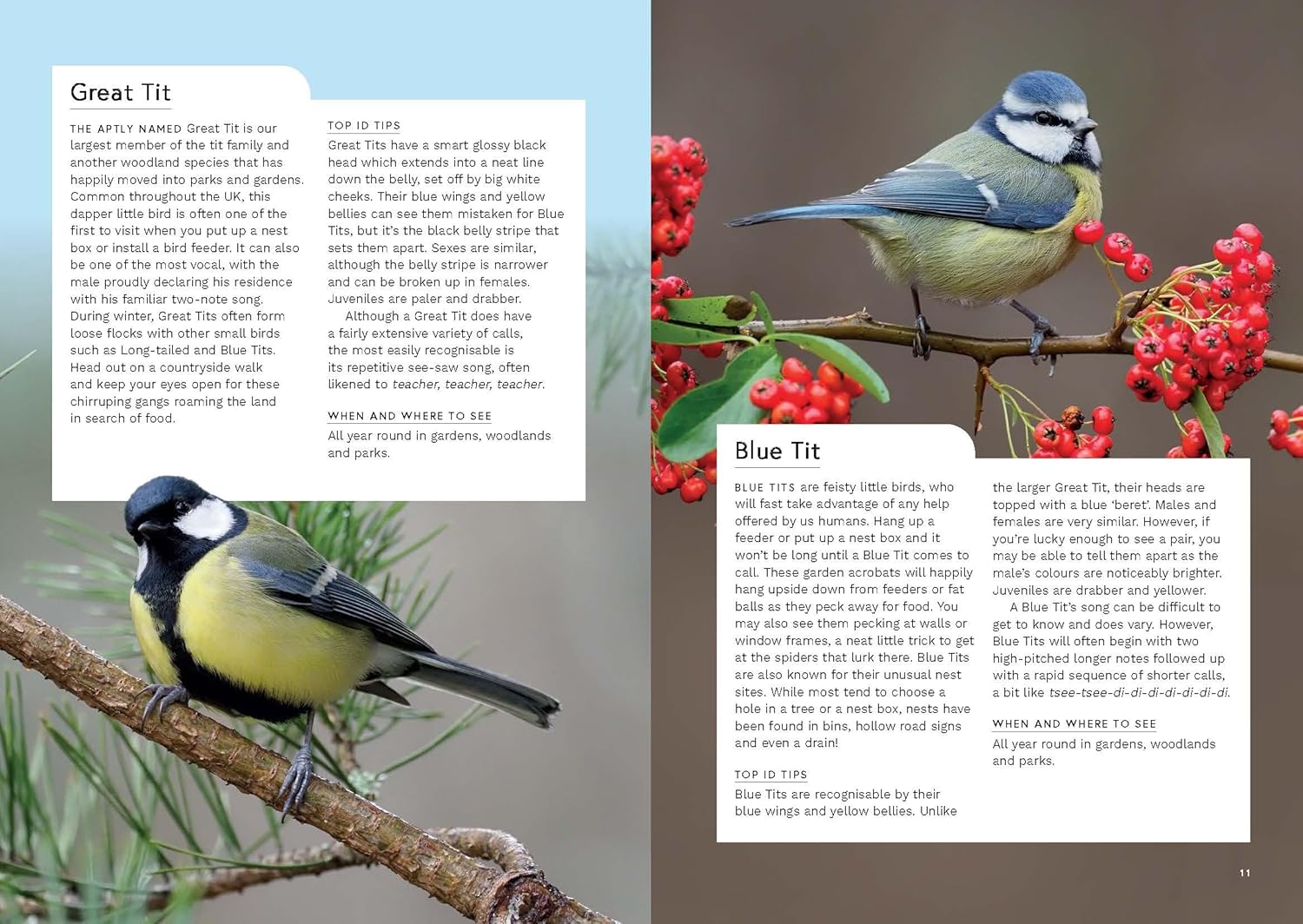 RSPB Birding Year - Dominic Couzens, Sian Duncan