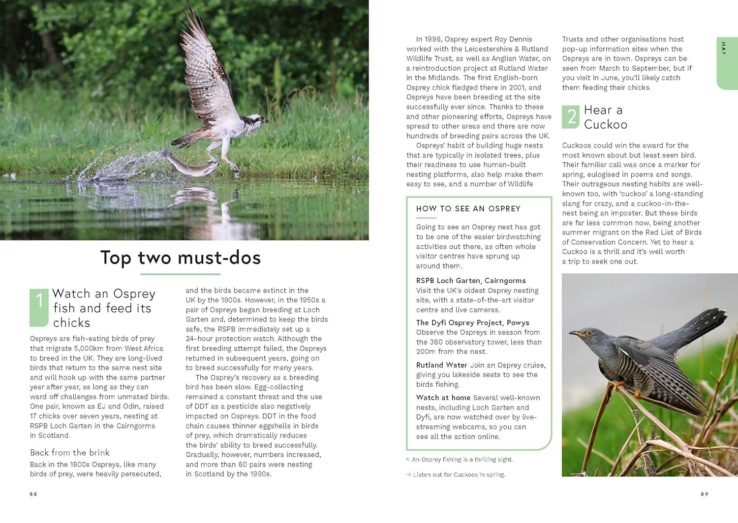 RSPB Birding Year - Dominic Couzens, Sian Duncan
