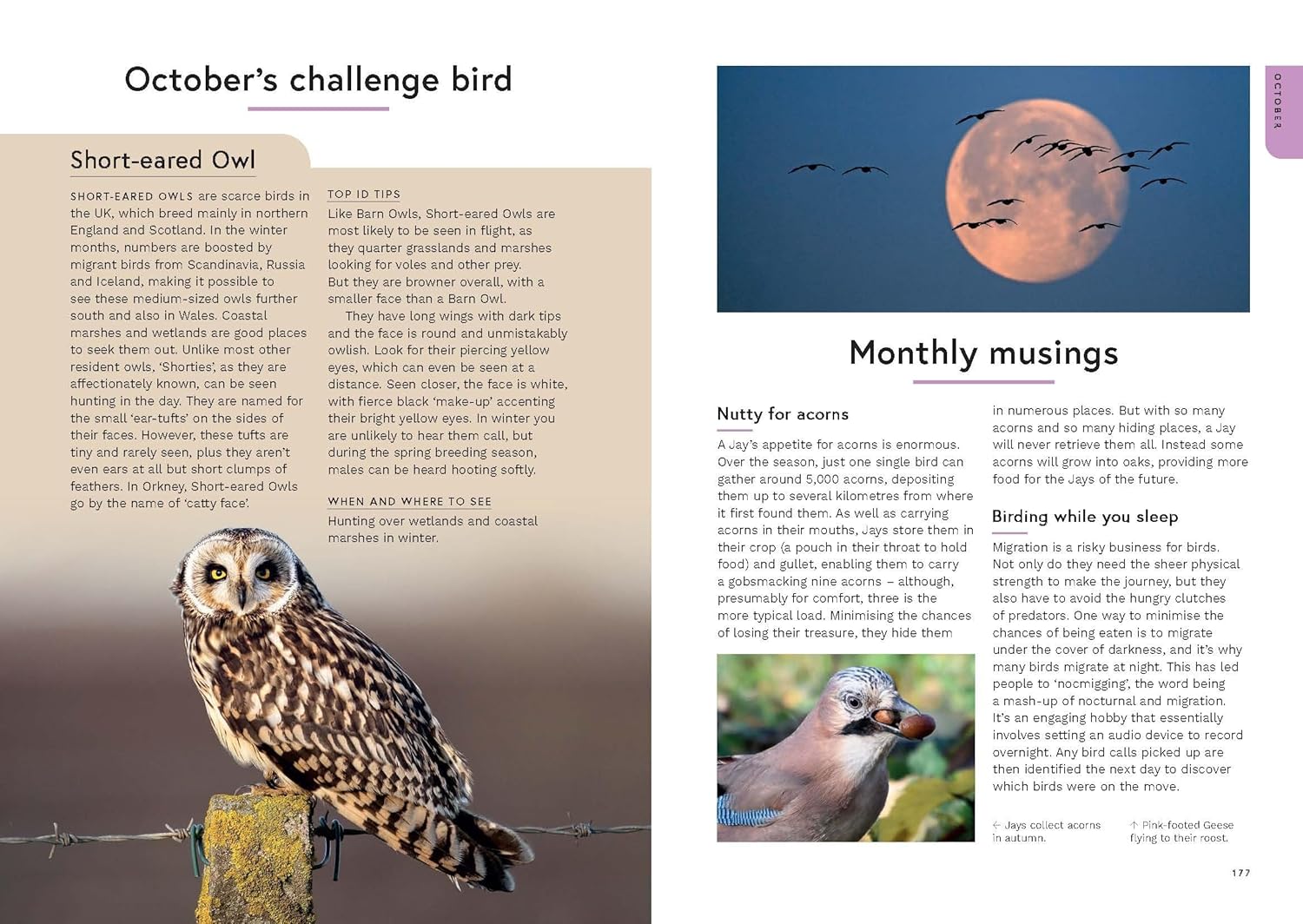 RSPB Birding Year - Dominic Couzens, Sian Duncan