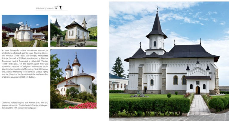 Manastiri si biserici - Florin Andreescu
