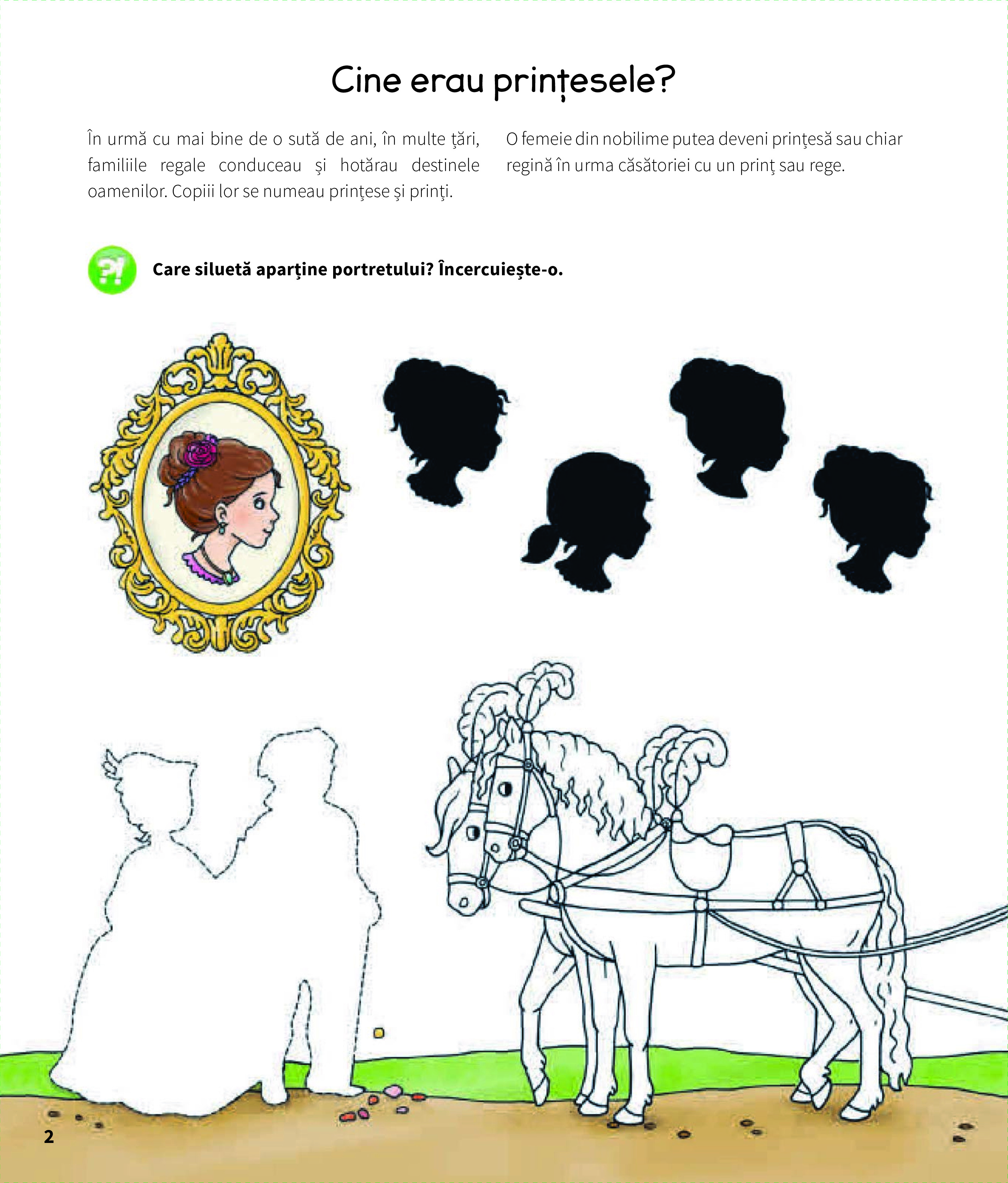 Carte de activitati cu .... Printese - Dominique Conte