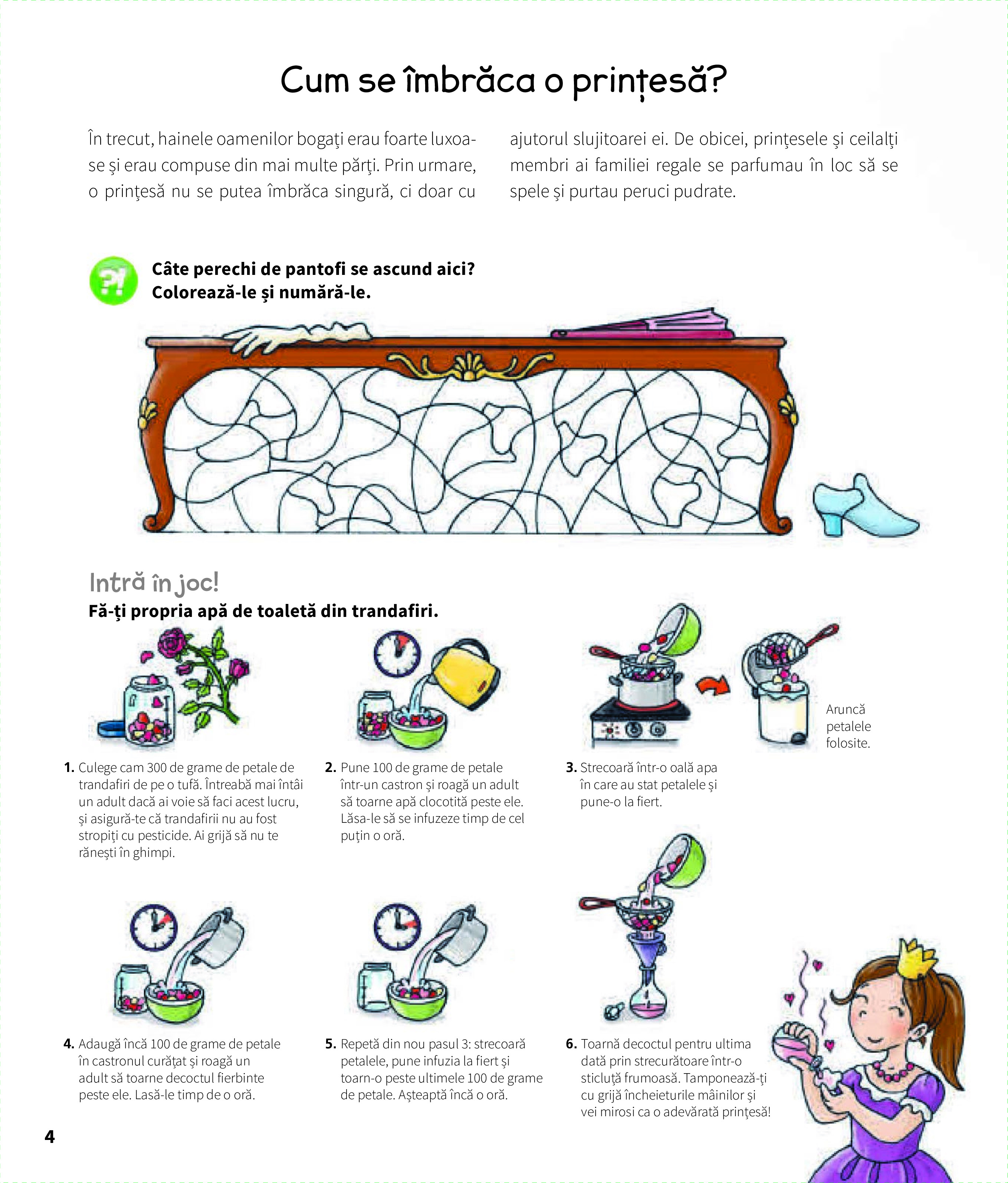 Carte de activitati cu .... Printese - Dominique Conte