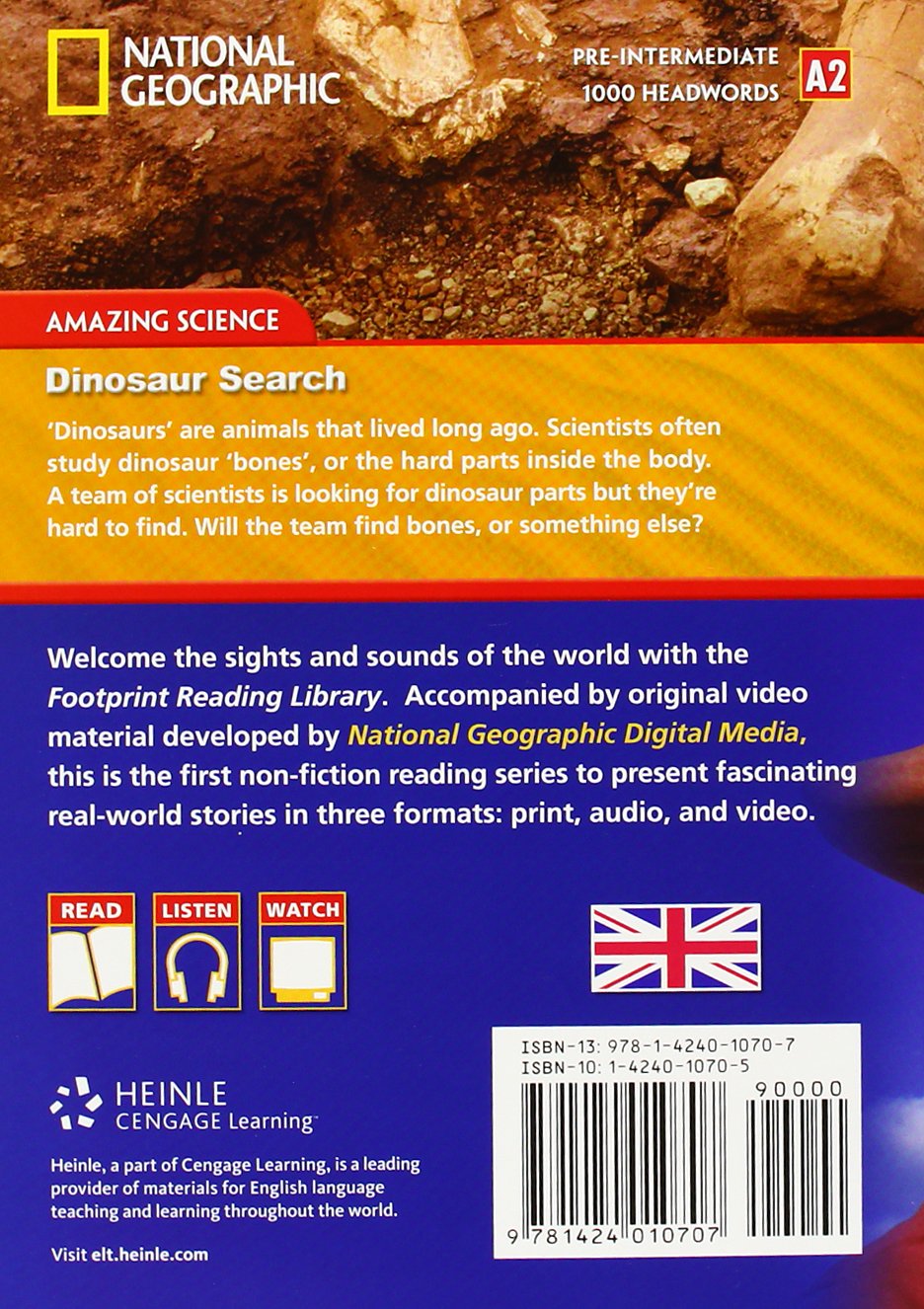 Dinosaur Search - Rob Waring