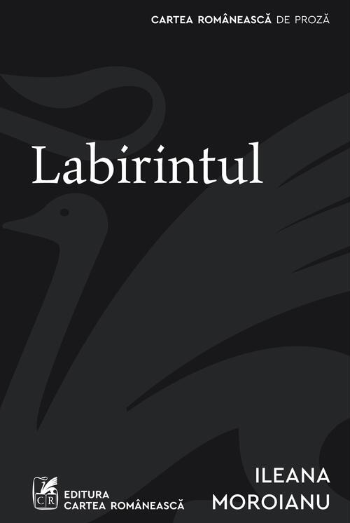 Labirintul - Ileana Moroianu