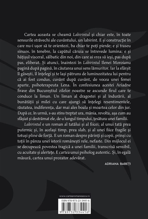 Labirintul - Ileana Moroianu