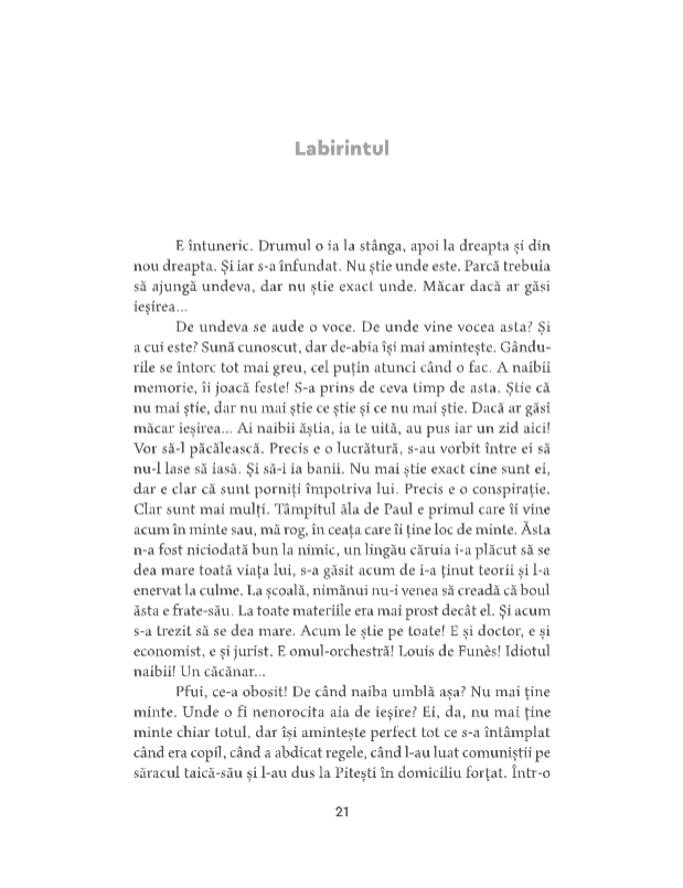 Labirintul - Ileana Moroianu