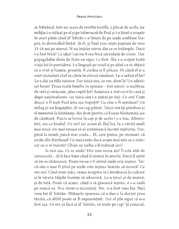 Labirintul - Ileana Moroianu