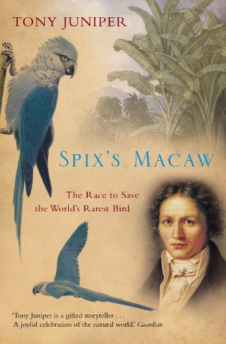 Spix's Macaw - Tony Juniper