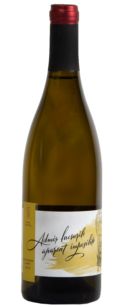 Vin alb - Minis Terrios - Sauvignon Blanc, sec, 2023 - Minis Terrios