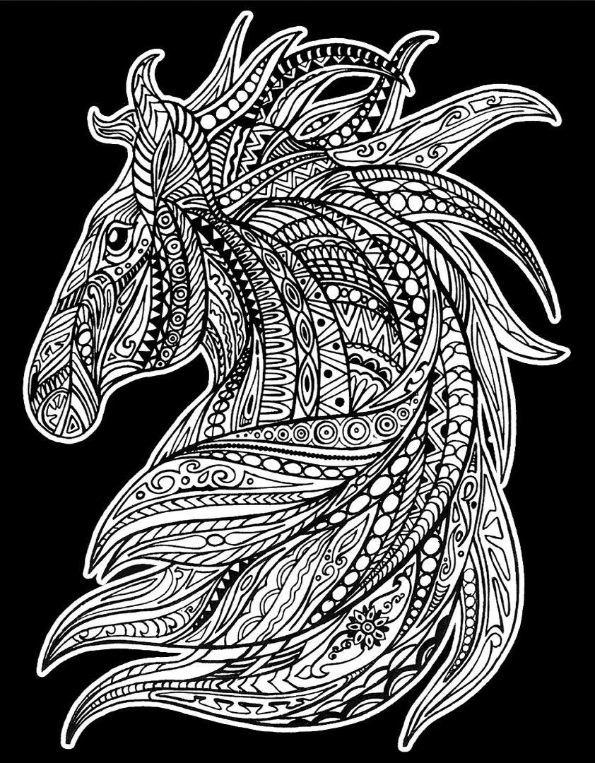 Plansa de colorat 47 x 35 cm - Cal (cu 12 carioci) - Colorvelvet