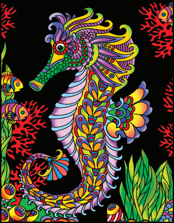 Plansa de colorat 47 x 35 cm - Cal de mare (cu 12 carioci) - Colorvelvet
