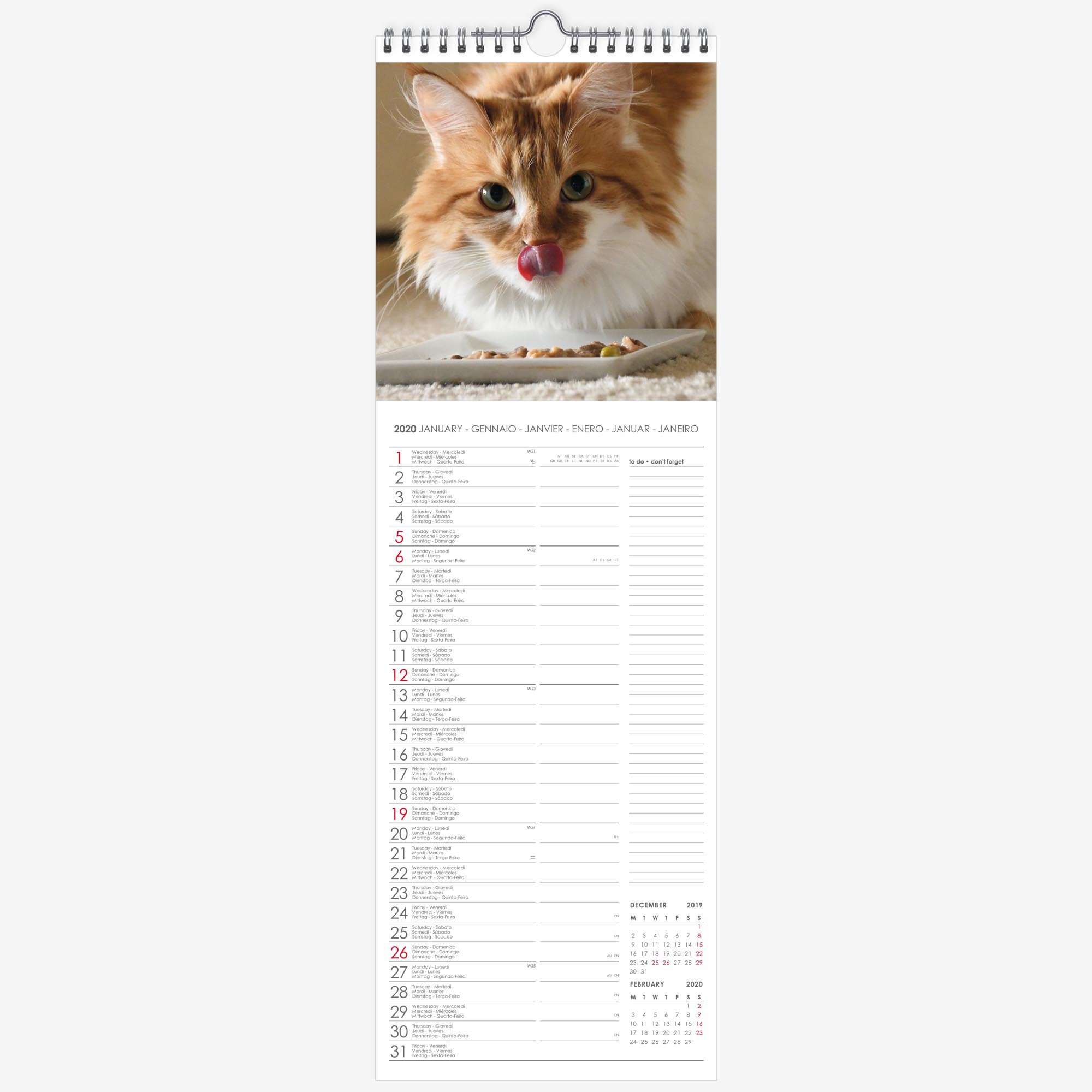 Calendar 2020 - Cats - Legami