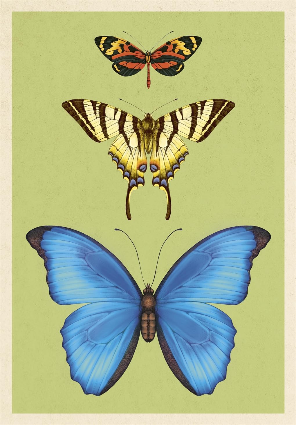 Insectarium Poster Book - Dave Goulson