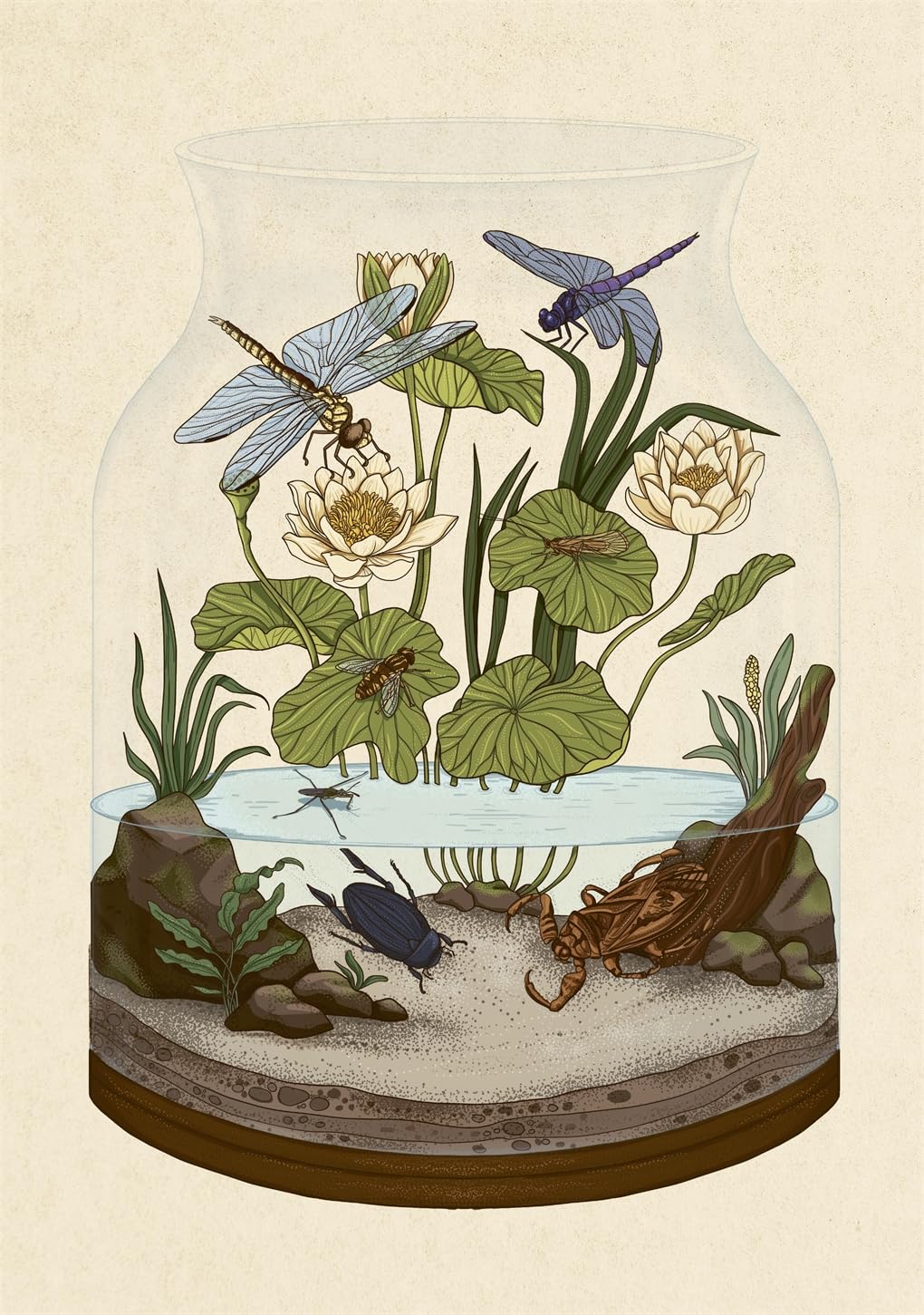 Insectarium Poster Book - Dave Goulson