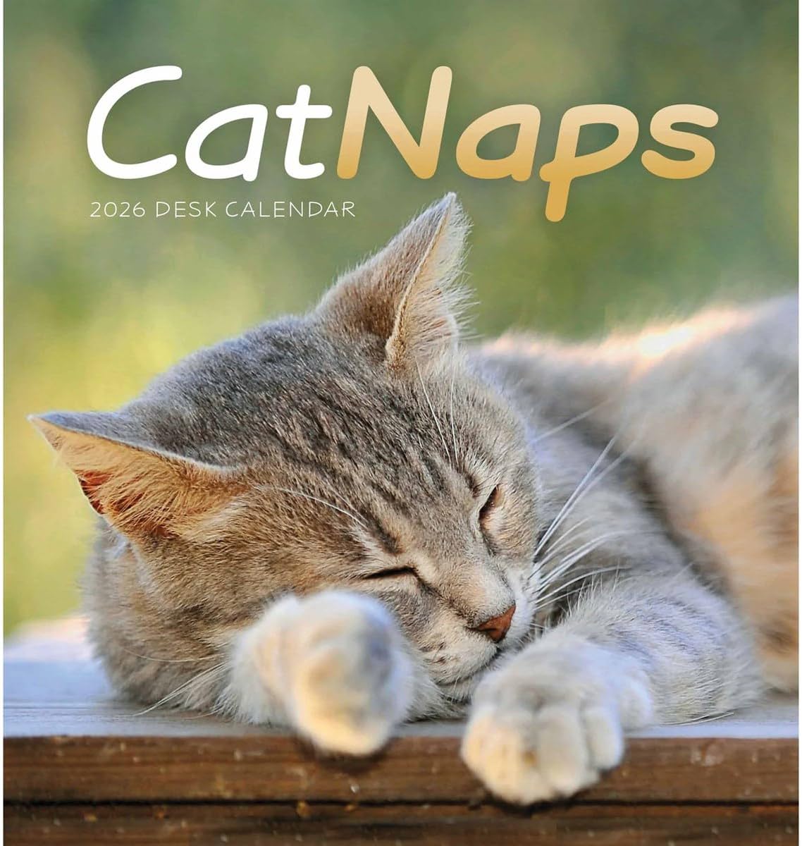 Calendar 2026 - Cat Naps - Carousel