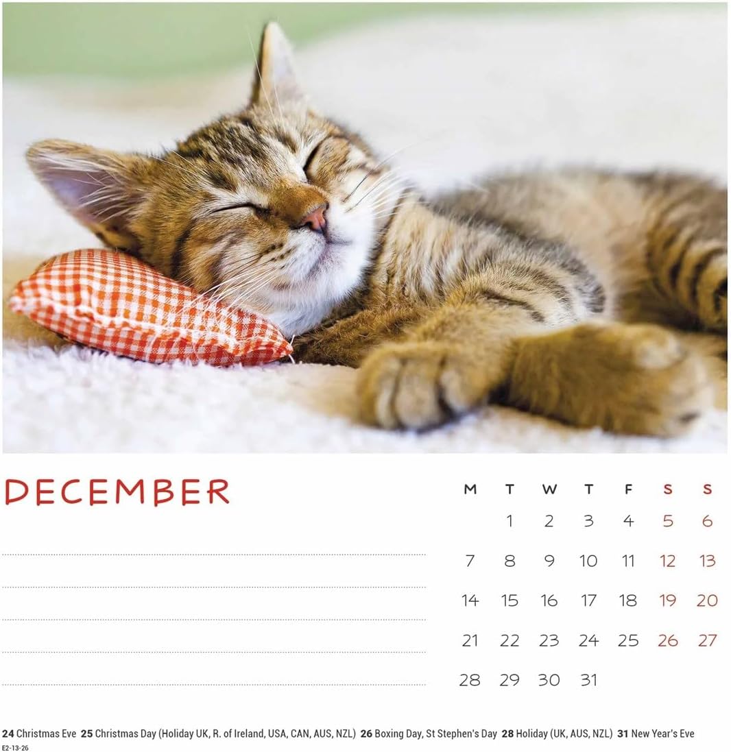 Calendar 2026 - Cat Naps - Carousel