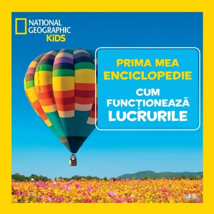 Cum functioneaza lucrurile