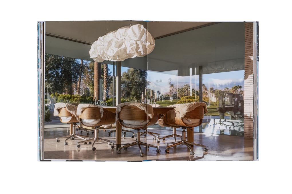 Inside Palm Springs - Stephen Drucker, Don Flood