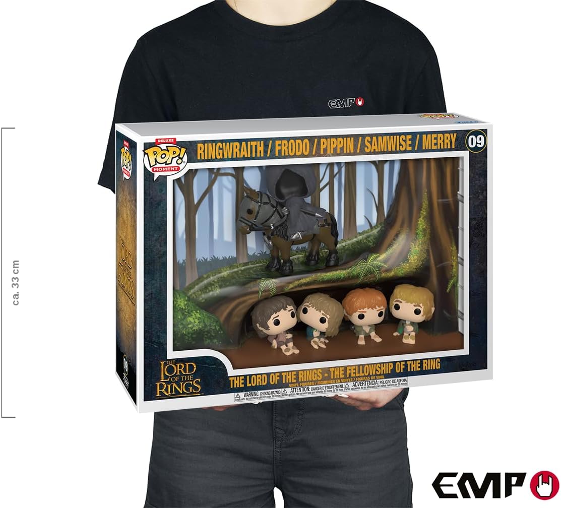 Set 5 figurine Ringwraith, Frodo, Pippin, Samwise, Merry - The Lord of ...