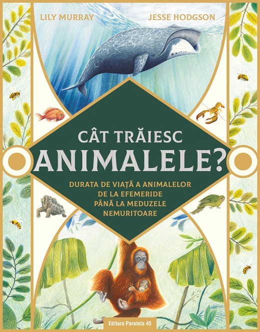 Cat traiesc animalele? - Lily Murray, Jesse Hodgson