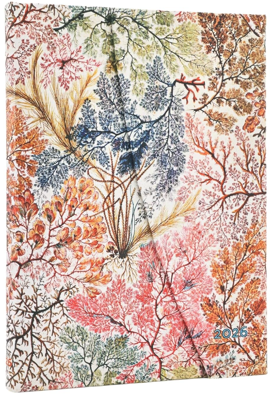 Agenda 2026 - Paperblanks - Anemone (William Kilburn) - Midi 12-Month ...