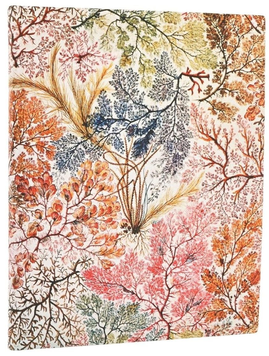 Agenda 2026 - Paperblanks - Anemone (William Kilburn) - Ultra 12-Month ...