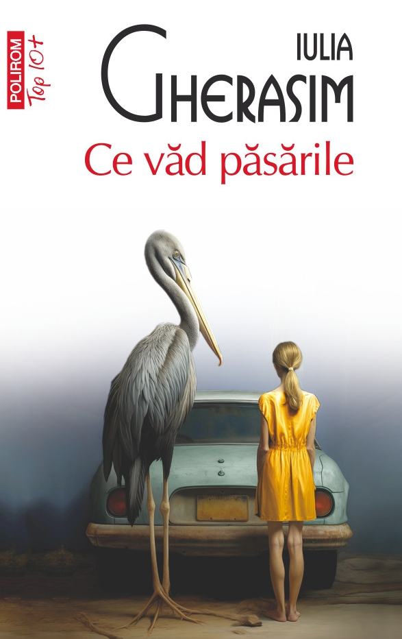 Ce vad pasarile - Iulia Gherasim