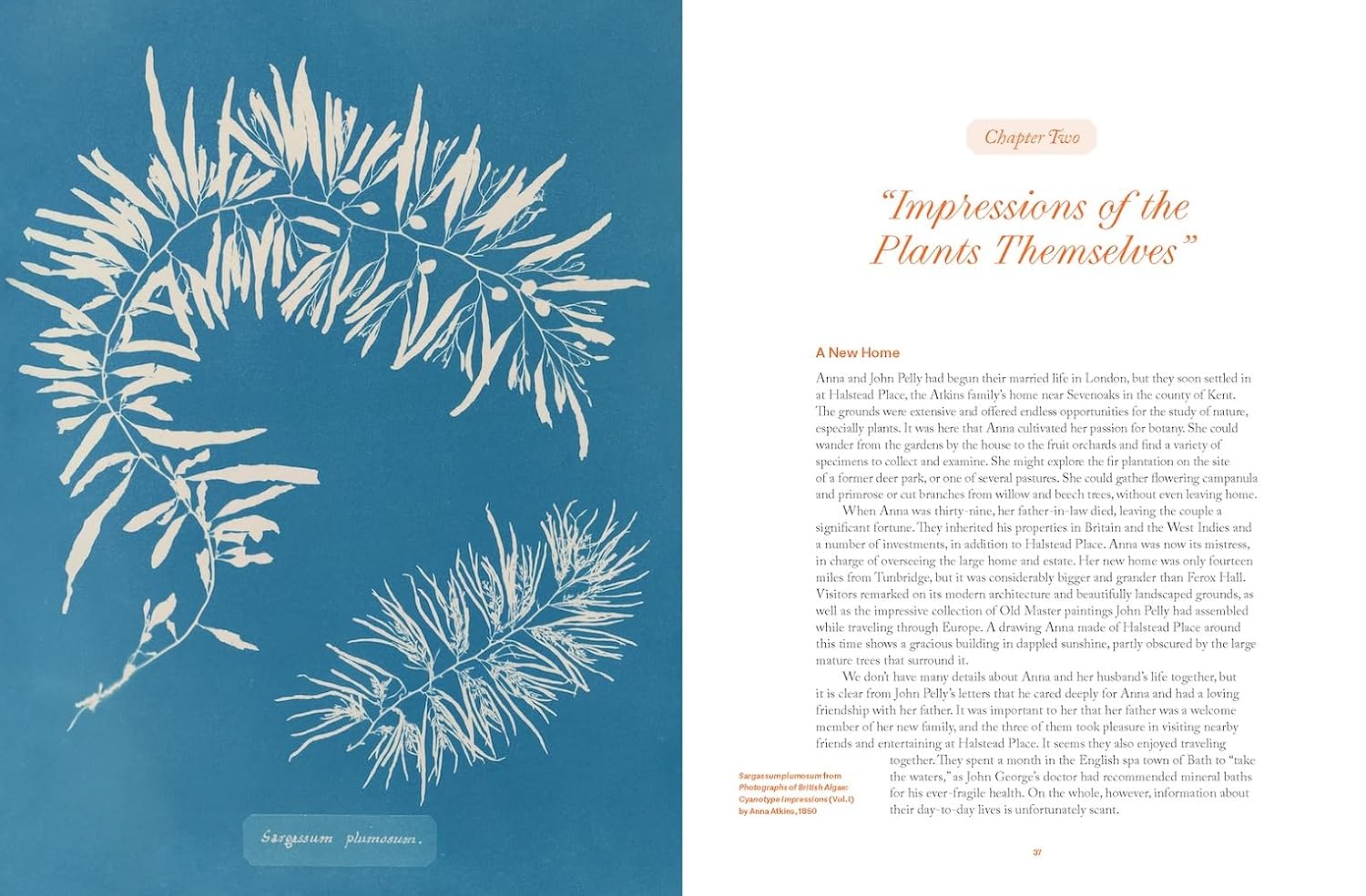 Anna Atkins: Photographer, Naturalist, Innovator - Corey Keller
