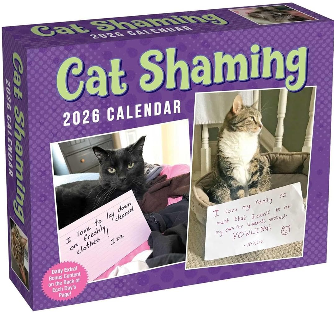Calendar 2026 - Cat Shaming - Andrews McMeel