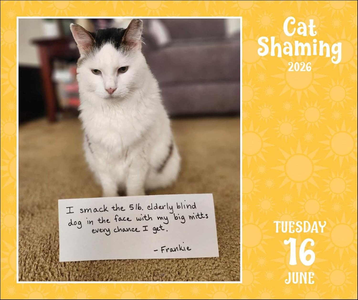 Calendar 2026 - Cat Shaming - Andrews McMeel