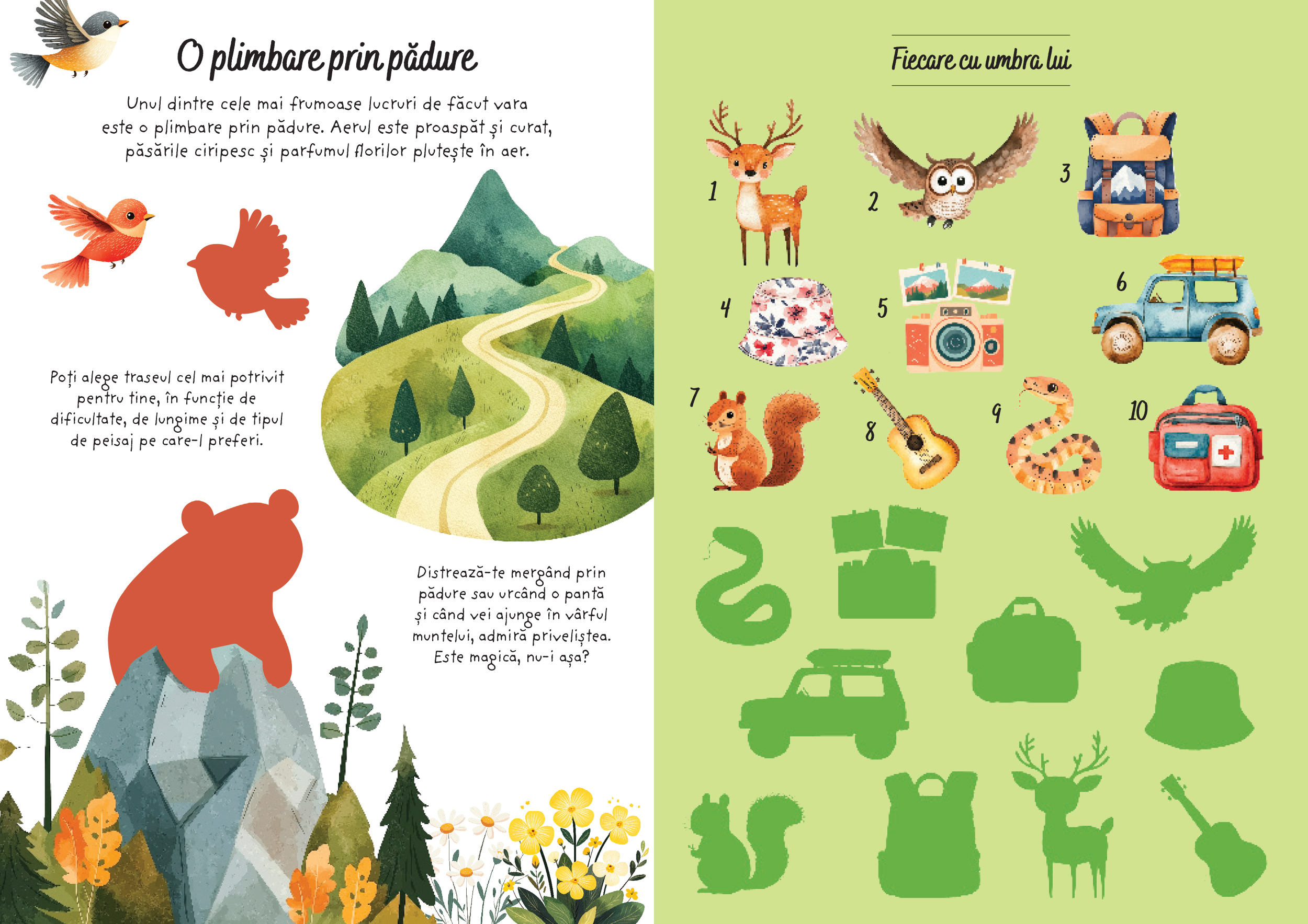 Aventuri la munte - Activitati si abtibilduri