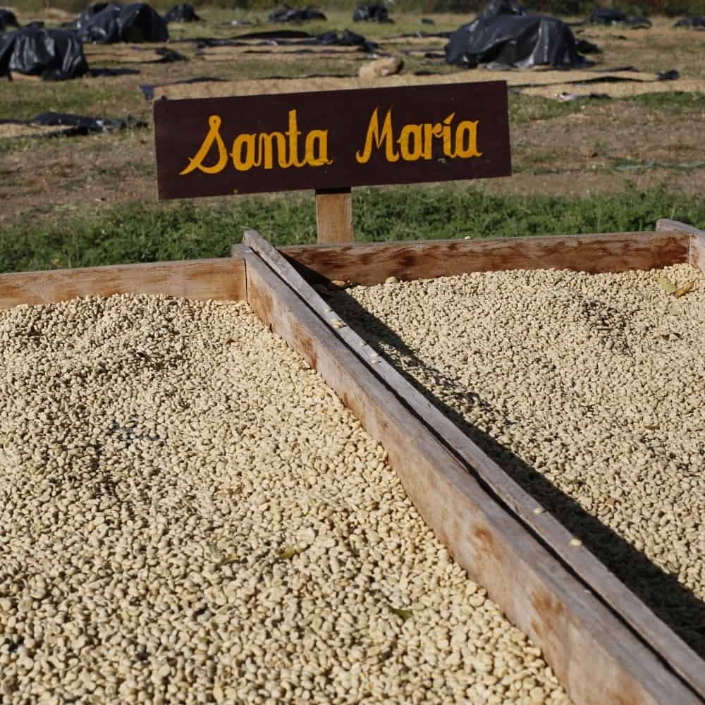 Cafea boabe - Nicaragua Santa Maria Natural - Uzina Coffee