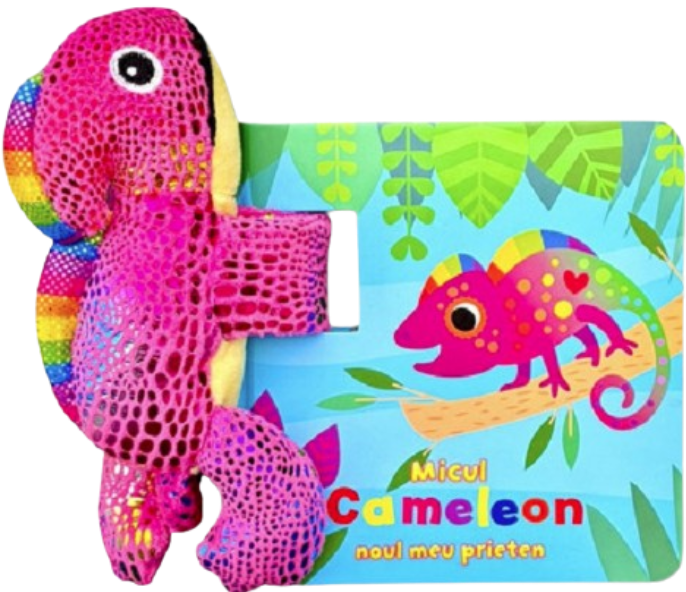 Micul cameleon, noul meu prieten - Galloway Fiona