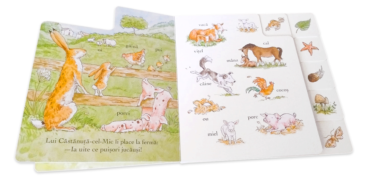 Ghici cat de mult te iubesc - Sam Mcbratney