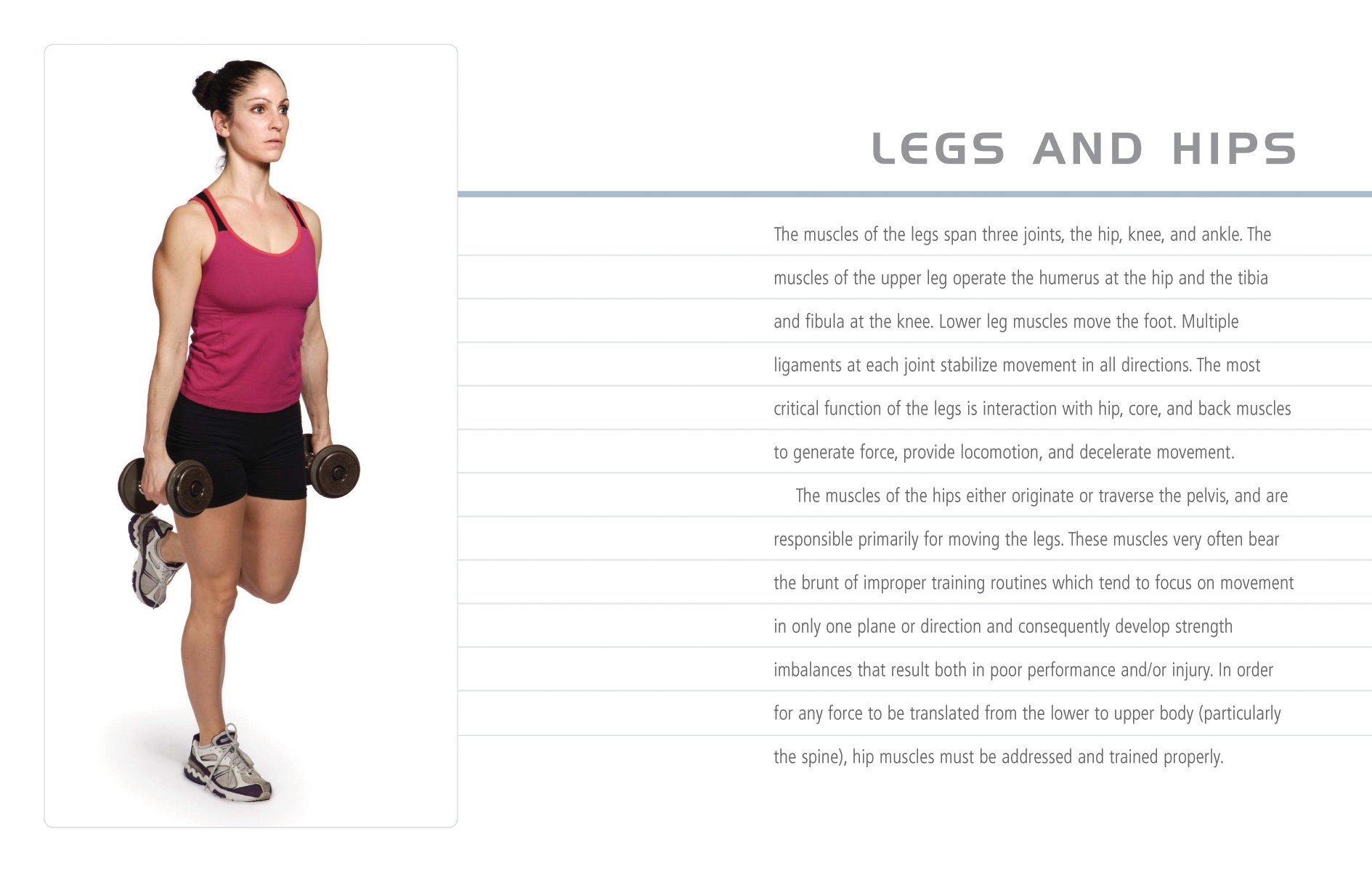 Anatomy Of Exercise Pat Manocchia anatomy-of-exercise-pat-manocchia