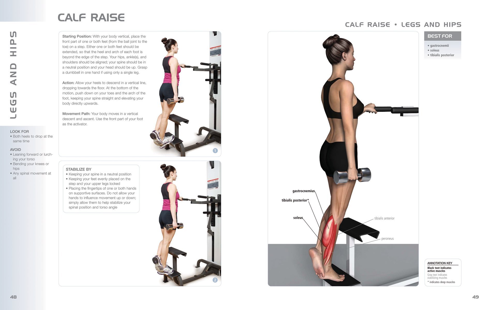 Anatomy Of Exercise Pat Manocchia anatomy-of-exercise-pat-manocchia